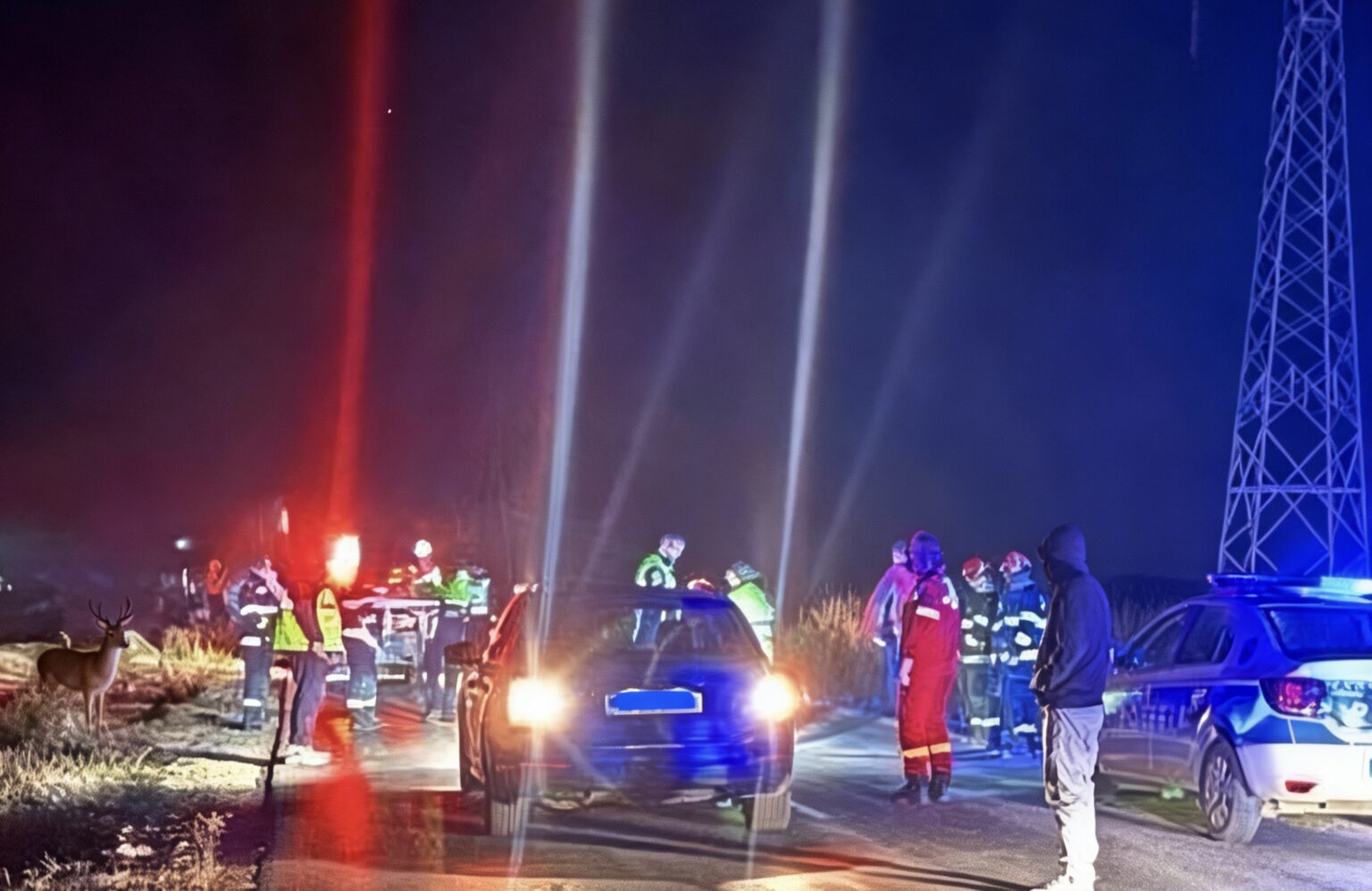 FOTO. ACCIDENT la MIHĂEȘTI, pe DN 67. A lovit o căprioară – Se întâmplă ...